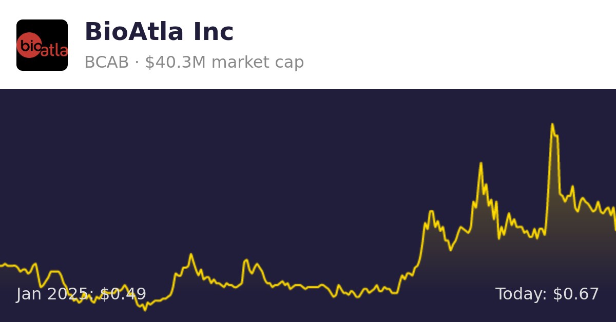 BioAtla (BCAB) | Finance information