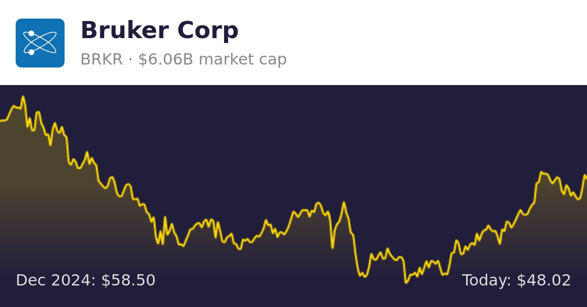 Bruker (BRKR) | Finance information