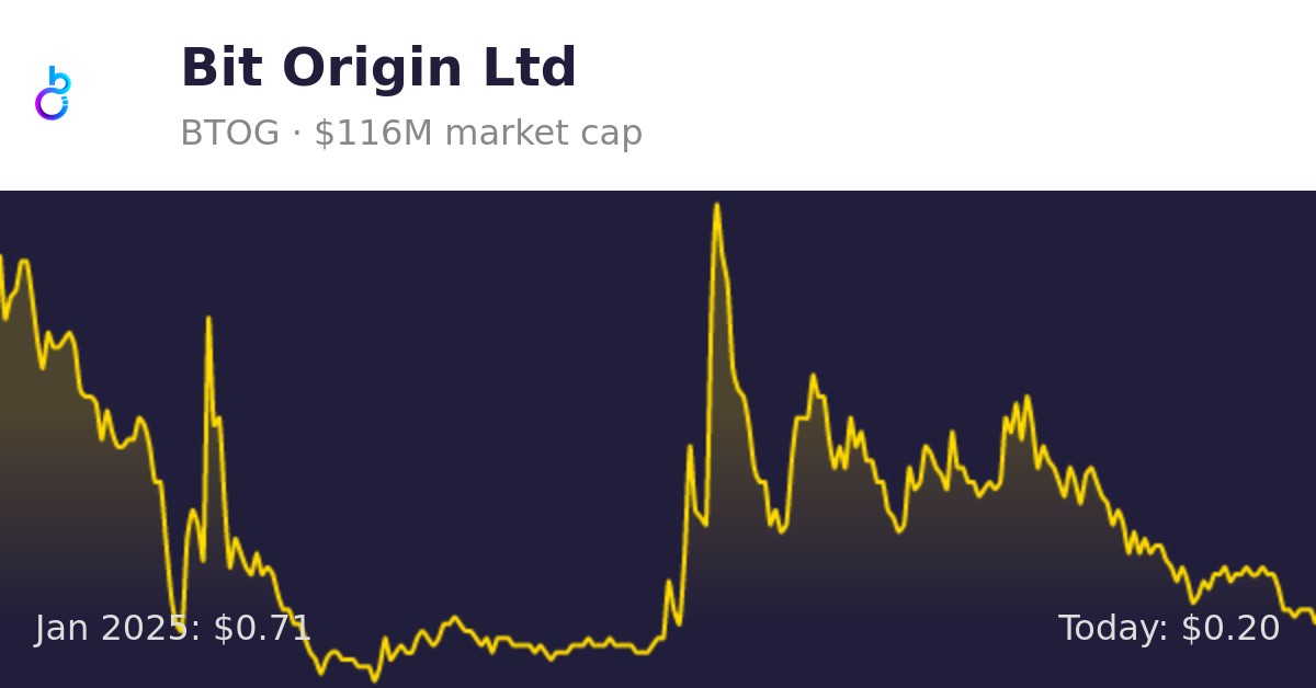 Bit Origin Ltd (BTOG) | Finance information