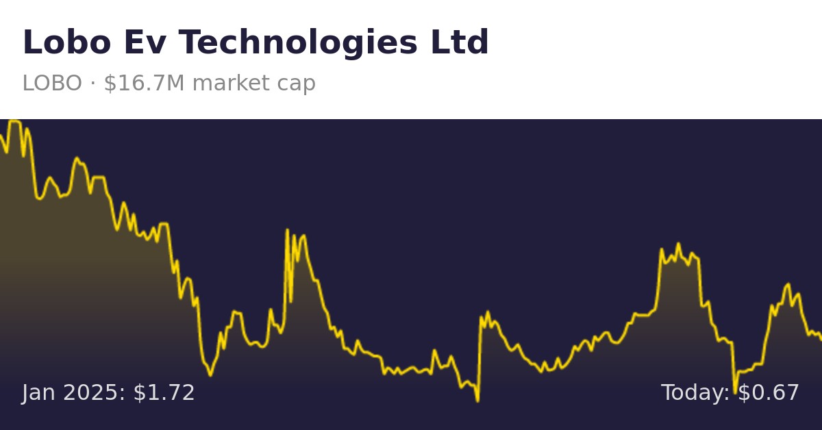 Lobo Ev Technologies Ltd Return on Equity (LOBO)