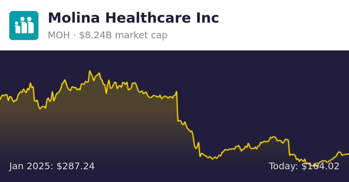 Molina Healthcare (MOH) | Finance information