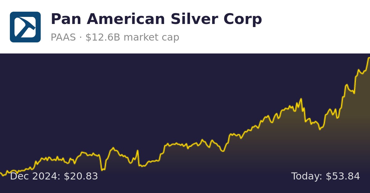 Pan American Silver (PAAS) | Finance information