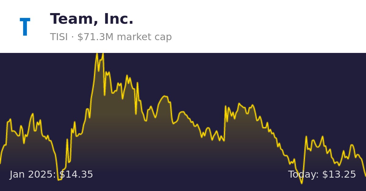 Team (TISI) | Finance information