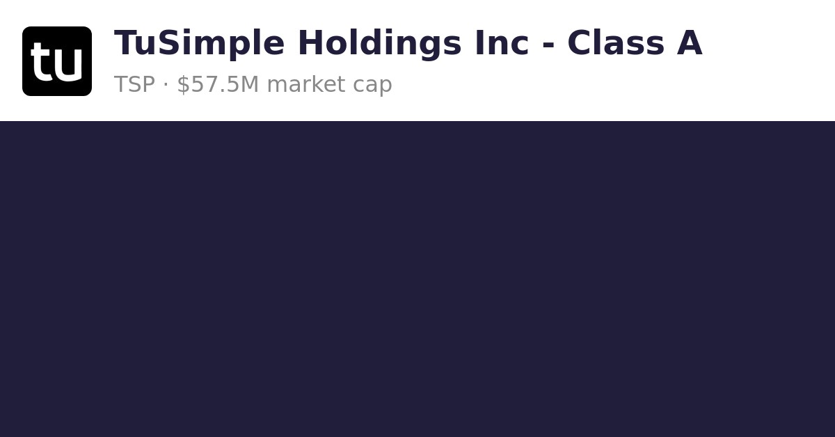 TuSimple Holdings (TSP) | Finance information